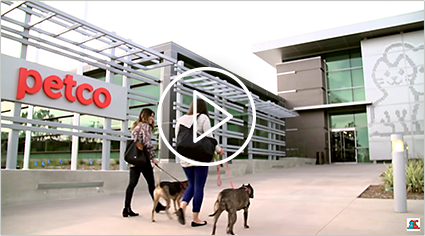 Corporate Careers – Petco Careers