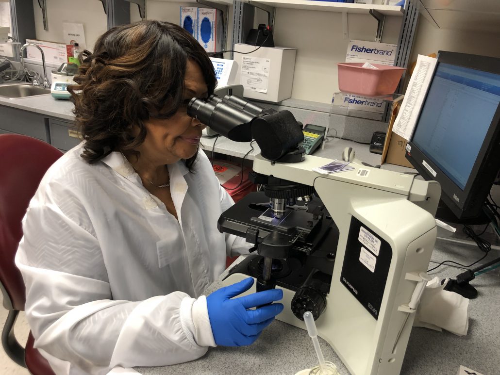 Day in the life: Lab Technologist at Southside Hospital