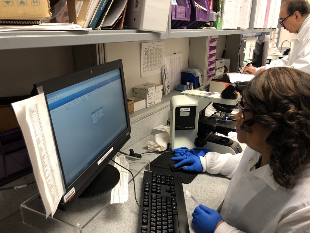 Day in the life: Lab Technologist at Southside Hospital